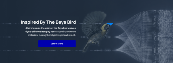 Baya Systems Inc