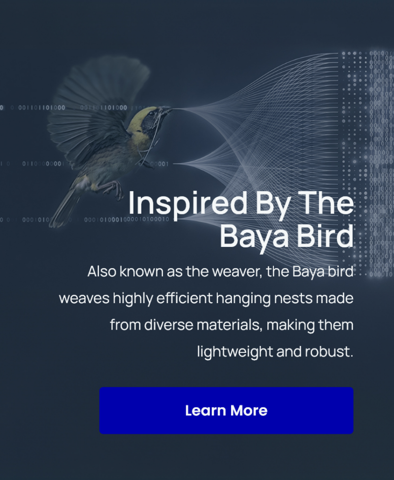 Baya Systems Inc